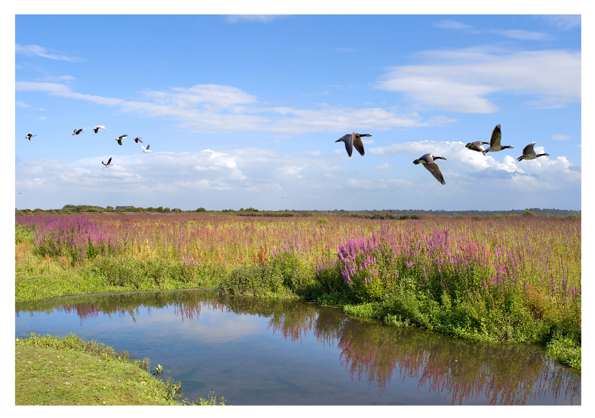 10 luxe ansichtkaarten van het eiland Voorne-Putten | Heel Holland ...